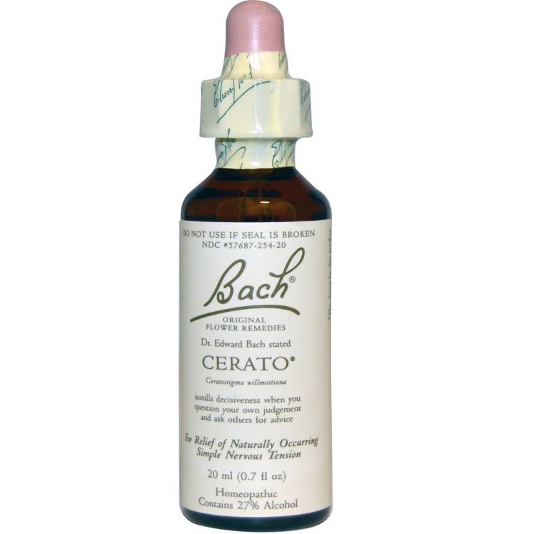FLOR BACH CERATO 20ML